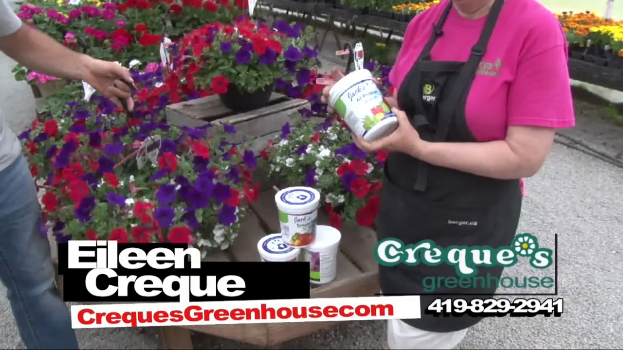 Creque Edit - YouTube