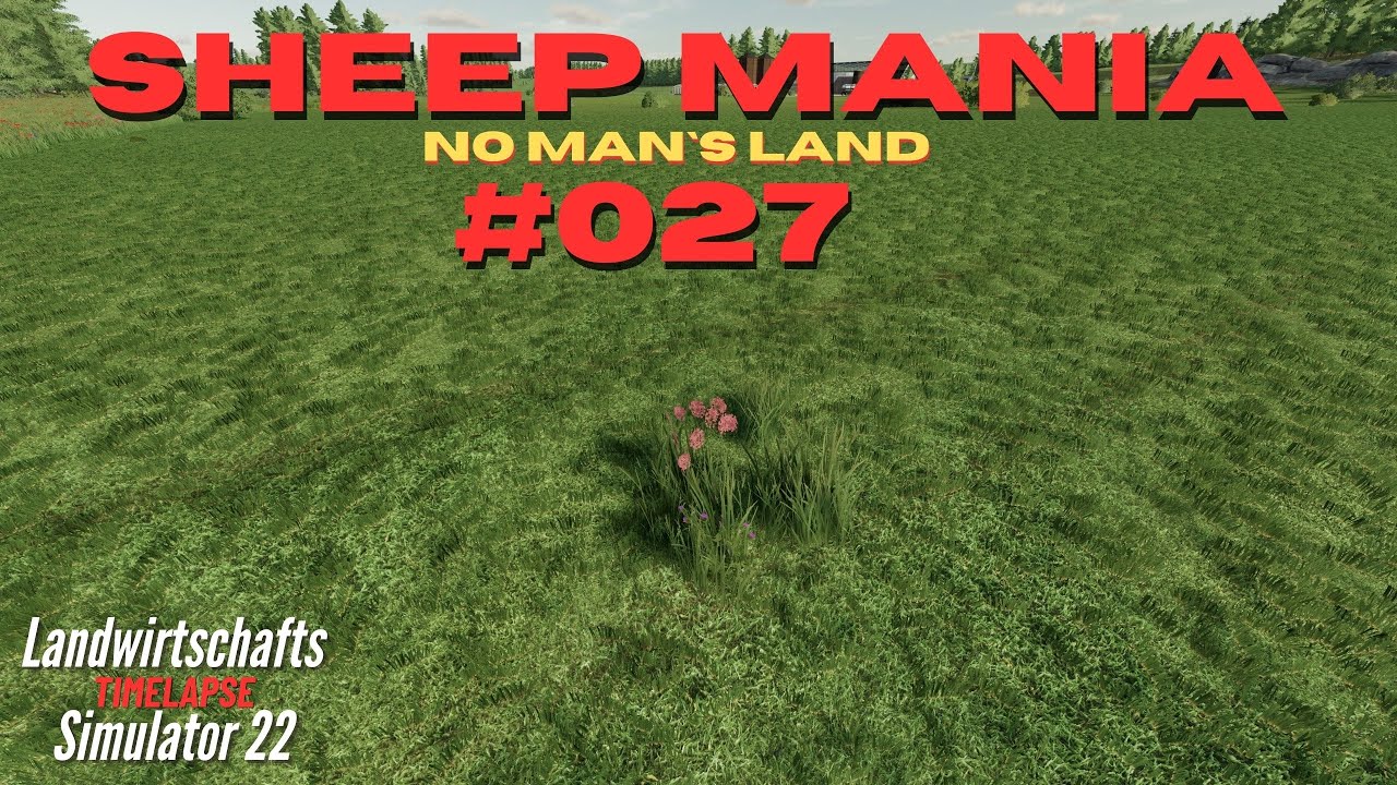 Sheep Mania @No Man´s Land #027 - 307 Schafe 😀 - YouTube