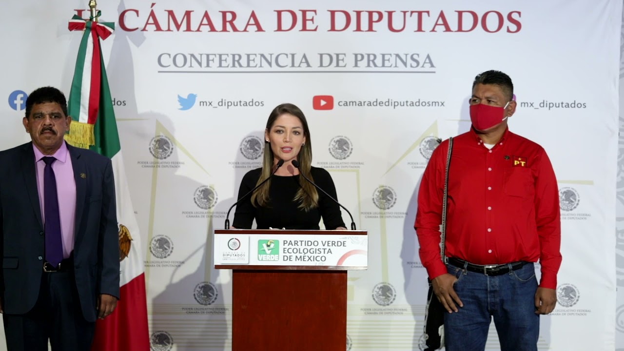 Conferencia de prensa | Dip. Jasmine María Bugarin | PVEM | 14/10/2021 - YouTube