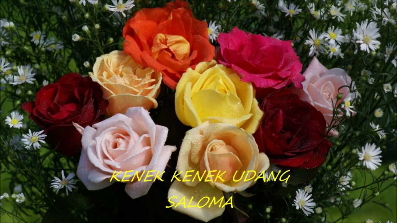 KENEK KENEK UDANG - SALOMA Acordes - Chordify