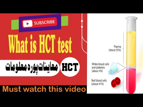 HCT test/What is HCT test/ in Pashto - YouTube