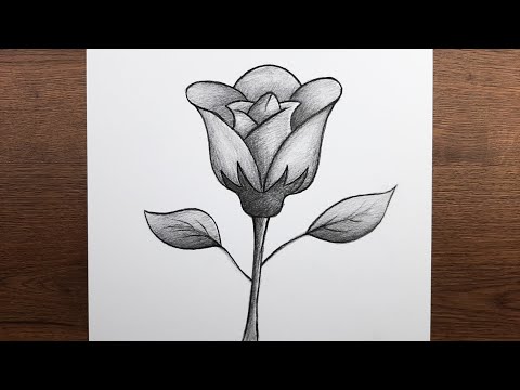 Kolay karakalem gül resmi nasıl çizilir - Adım adım öğretici çizim