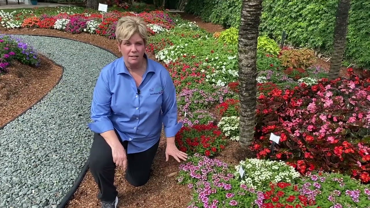 Verbena Beats at Costa Trials Week 7, 2021 - YouTube