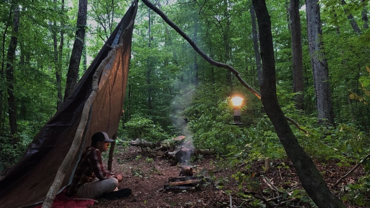 Off Grid Solo Bushcraft Camp, Wild Camping & Cooking #bushcraft # ...