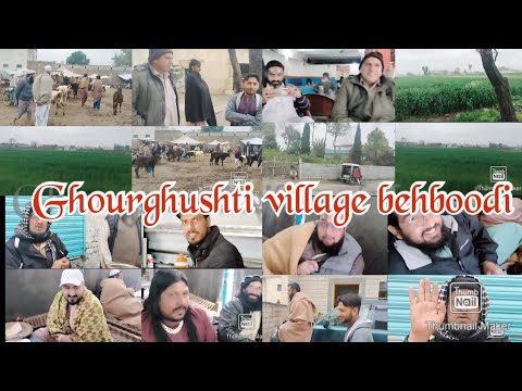 Ghourghushtivillage behboodi Shinka Nartopa Lassani Hotel Dear village ...
