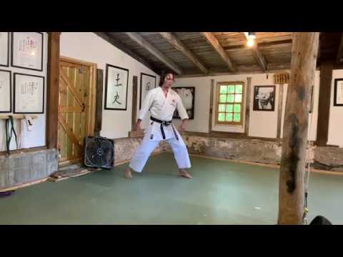 Karate Science: 15 Minutes of Thought #31: Teisho Uchi - YouTube