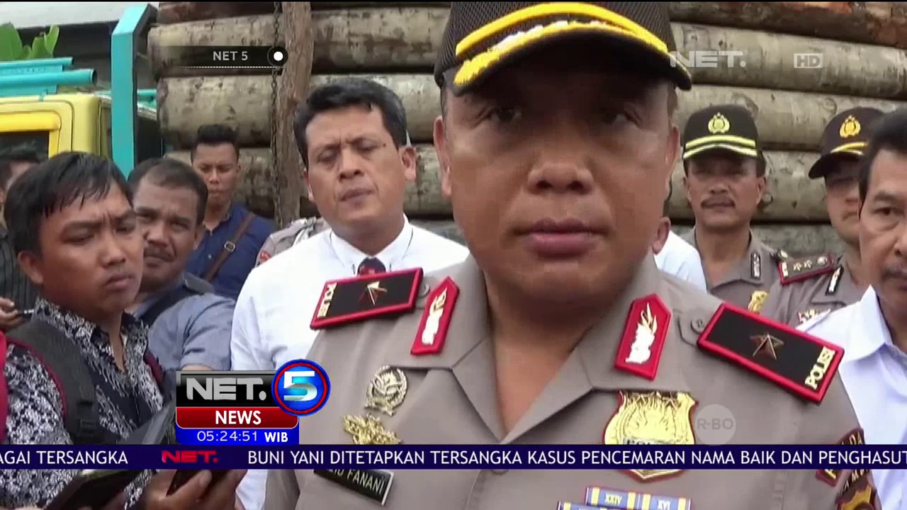 4,7 Ton Daging Trenggiling Dimusnahkan NET5 - YouTube