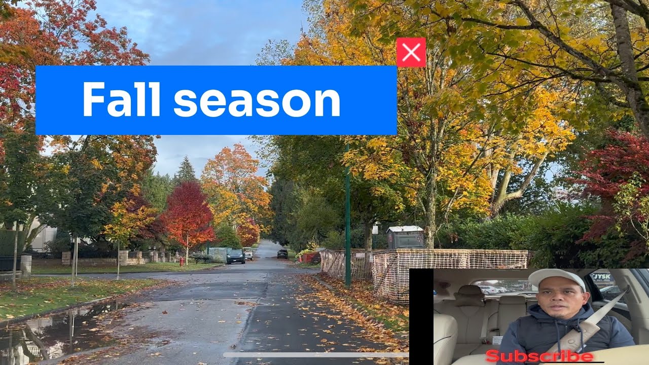 Season change into fall: pls like, share, and subscribe. - YouTube