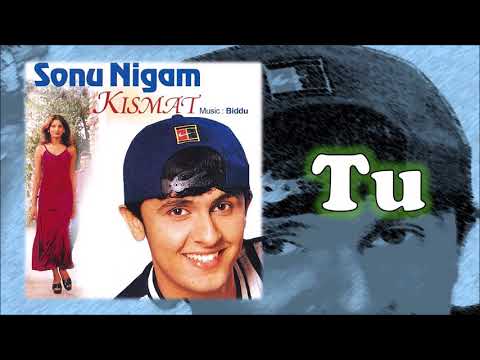 Tu /ae dilruba kitne hashi mila- sonu nigam -Romantic song
