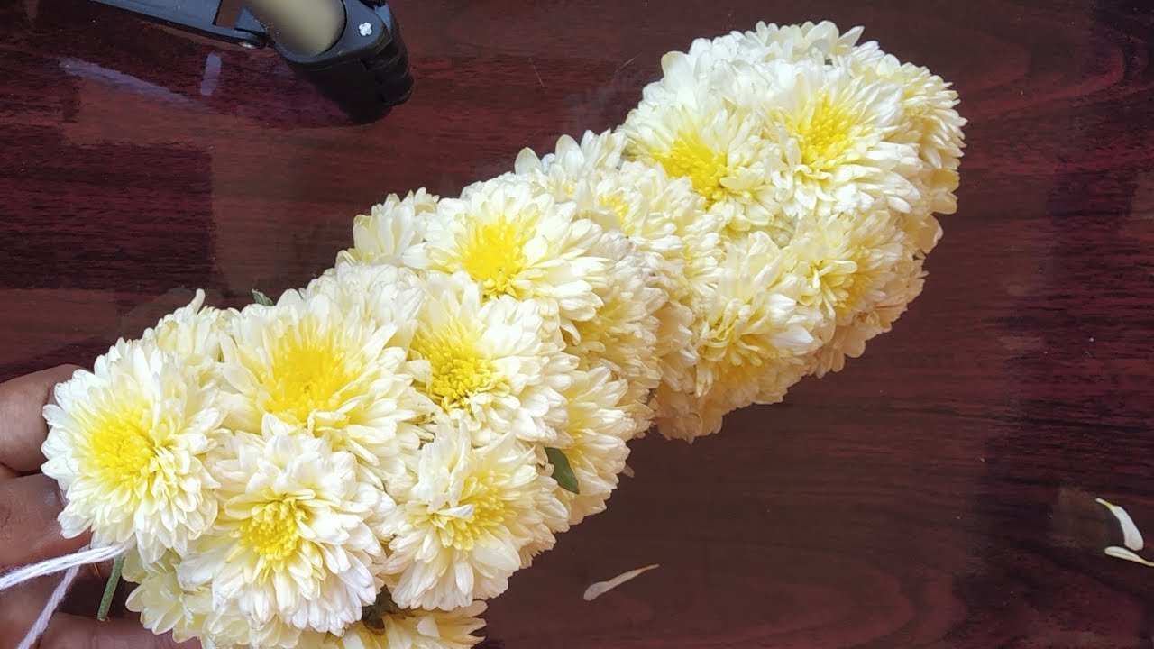 How to tie samanthi flower garland/samanthi poo malai - YouTube