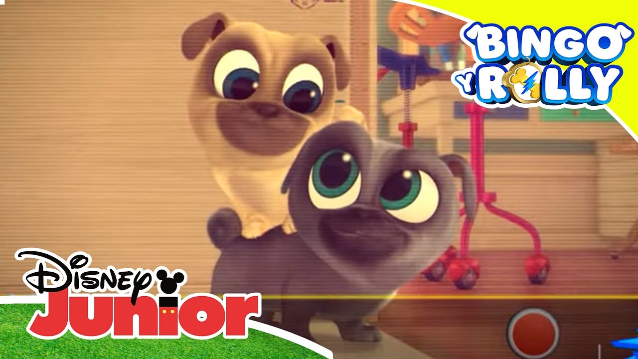 Bingo y Rolly: Disney Junior Music Party - Muy pequeñitos aún parecéis ...