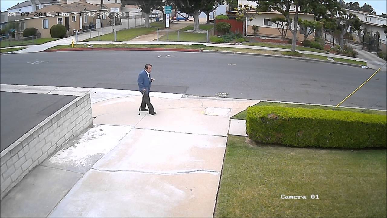 squirrel run over by car - YouTube