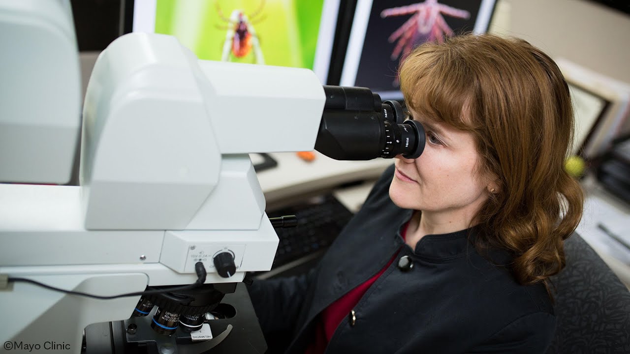 The Modern Parasitology Lab - YouTube