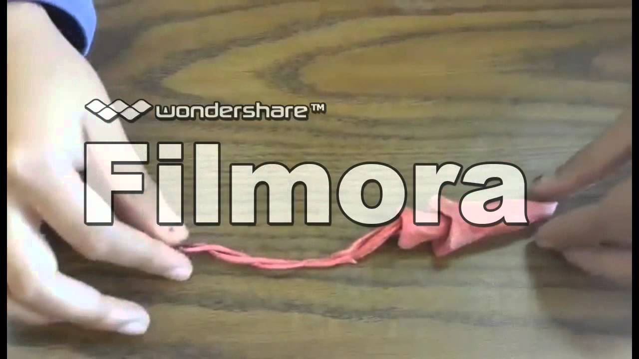 Tejido Conjuntivo Laxo Reticular - YouTube