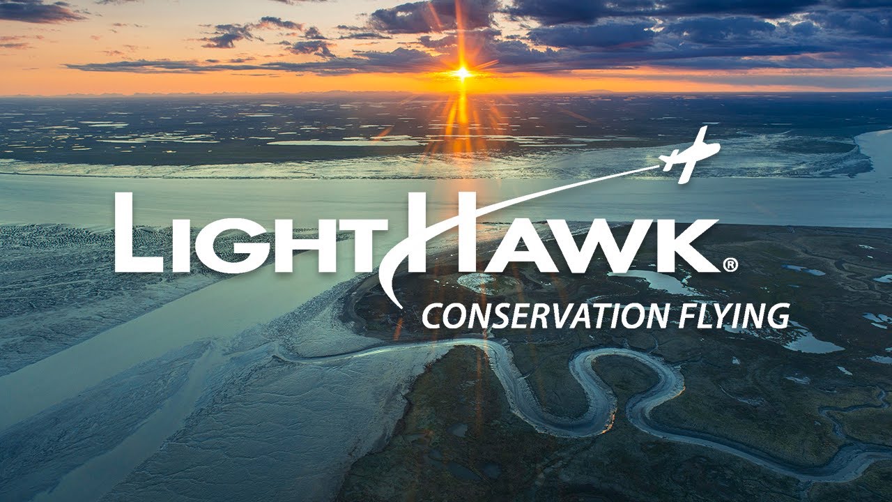 LightHawk - Conservation Flying - YouTube