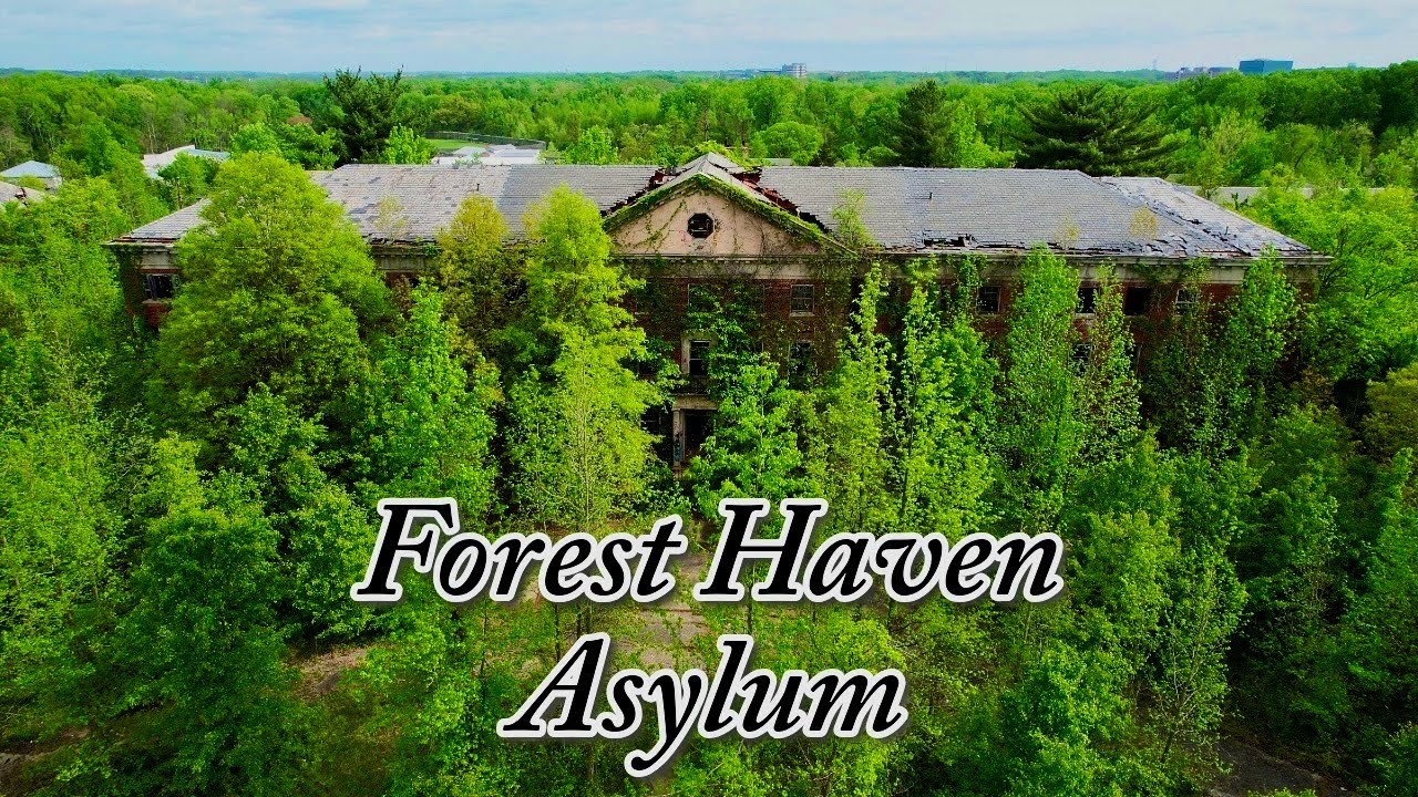 Exploring The Forest Haven Asylum A Hopeless Home For