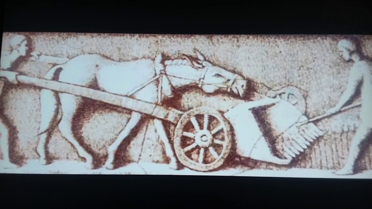 The Curse Of Ham, Noah The First Eunuch - YouTube