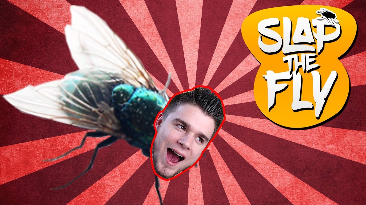 NAJZABAWNIEJSZA MUCHA NA ŚWIECIE - BLADII ( SLAP THE FLY ) #01 - YouTube