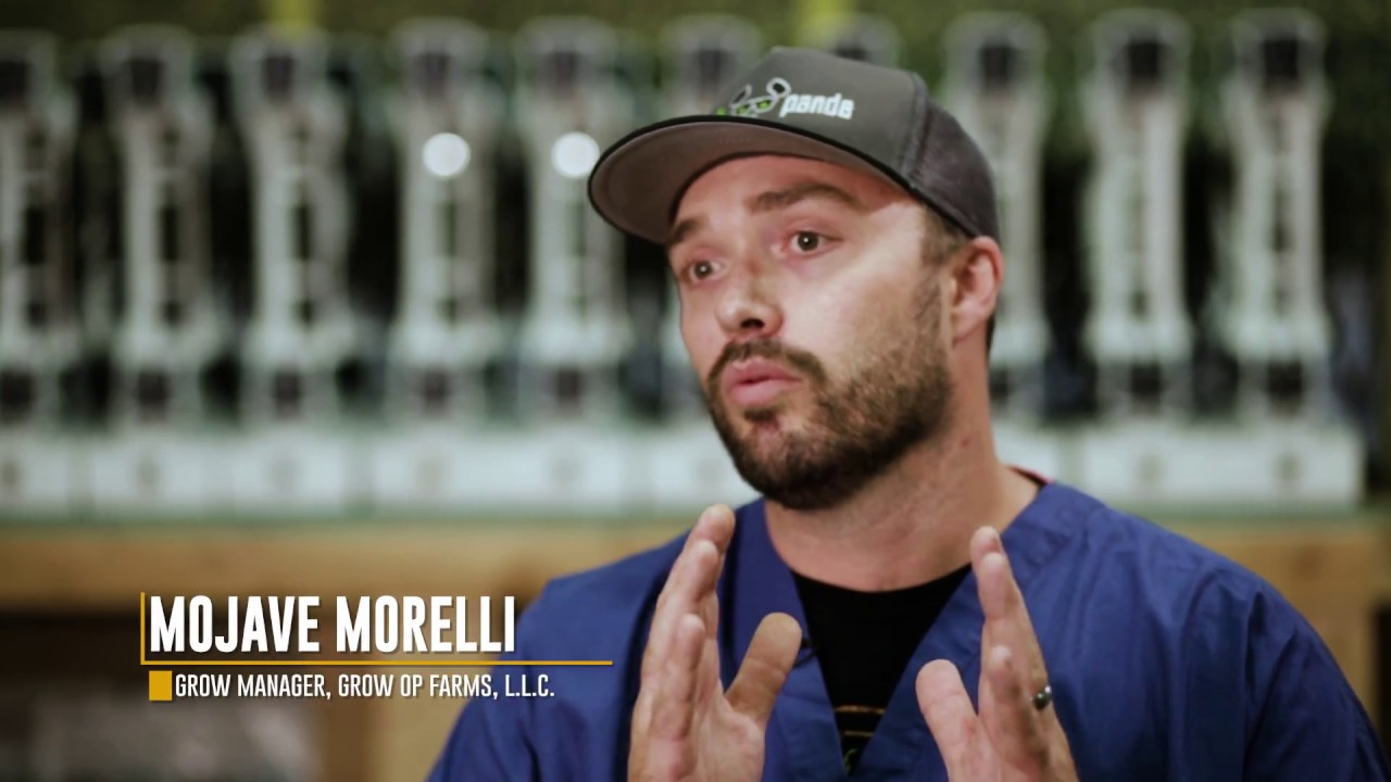 Grow op Farms - YouTube