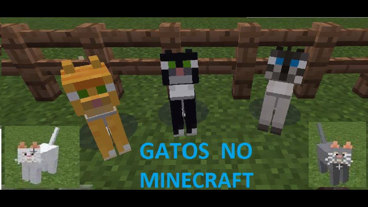 Gato De Estimacao Minecraft