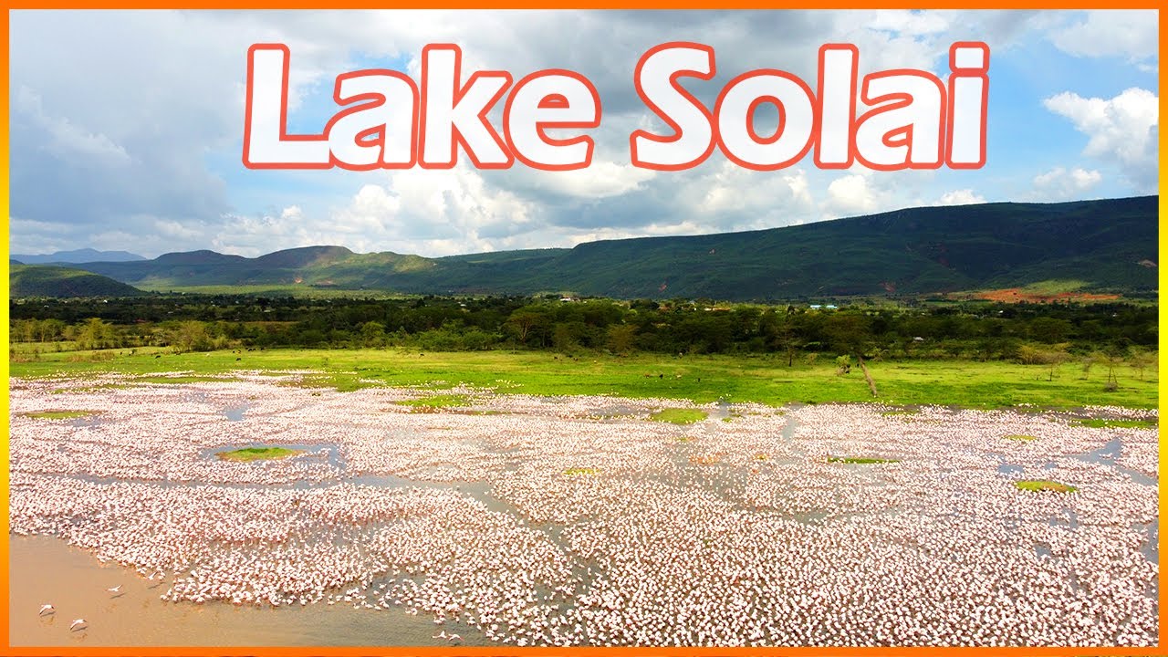 New Flamingo Paradise in Nakuru : Lake Solai - YouTube