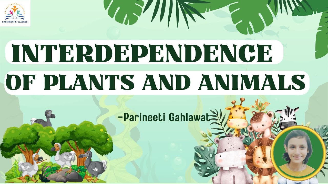 How Plants and Animals Help Each Other | Interdependence Explained ...
