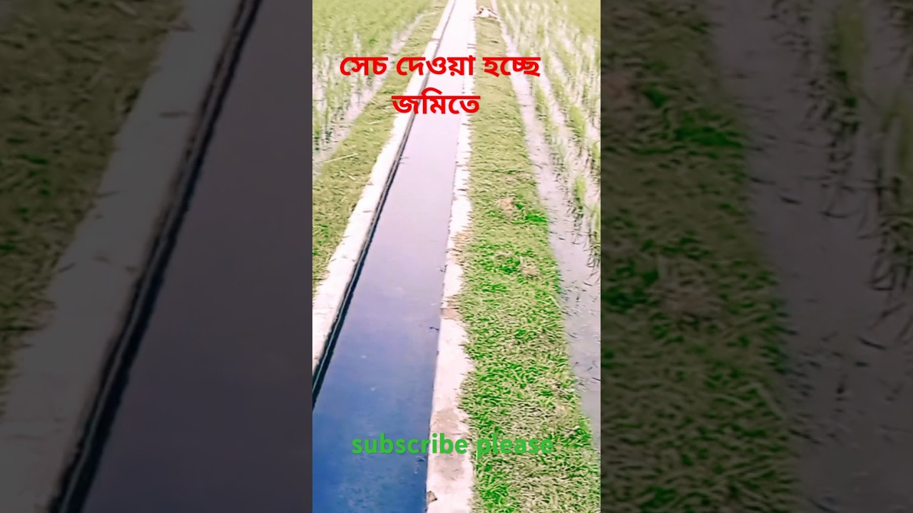 Necessary irrigation is being given to paddy fields | Village Nature ...