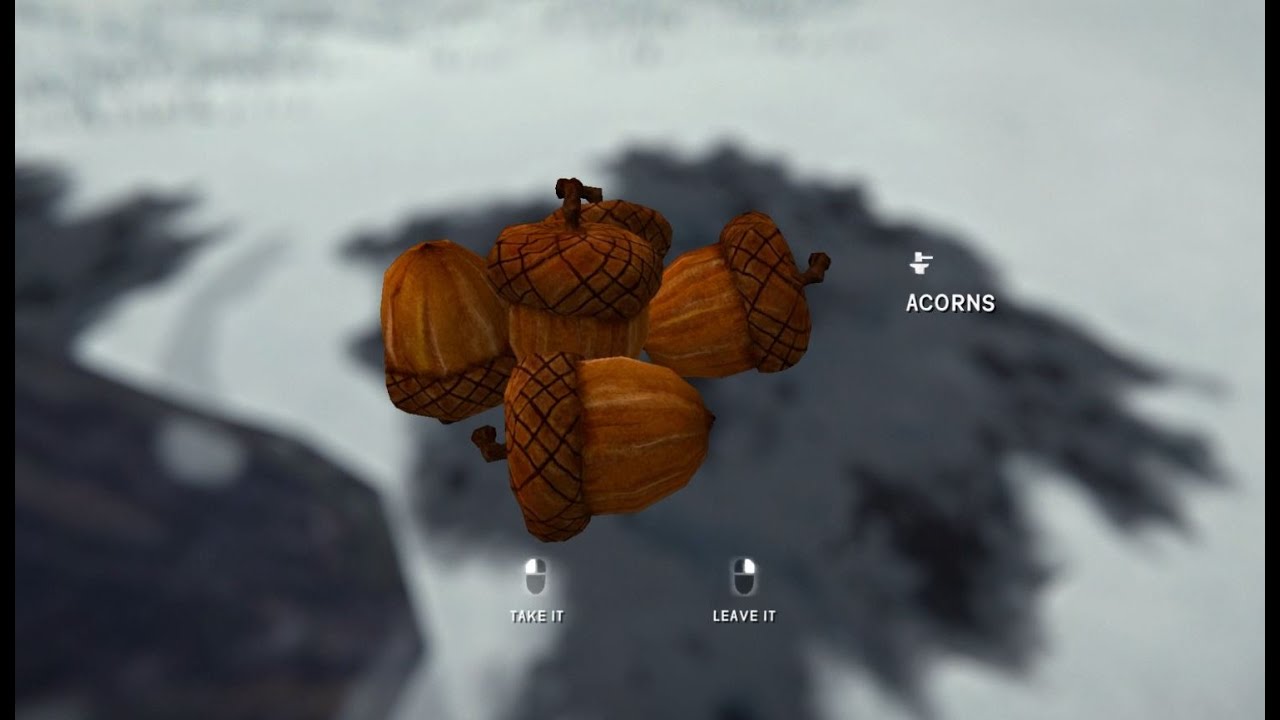 THE LONG DARK: Acorns - YouTube