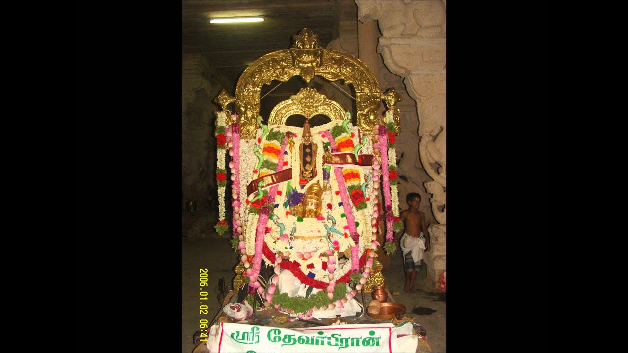 Alwarthirunagari 9 Garuda seva.wmv - YouTube