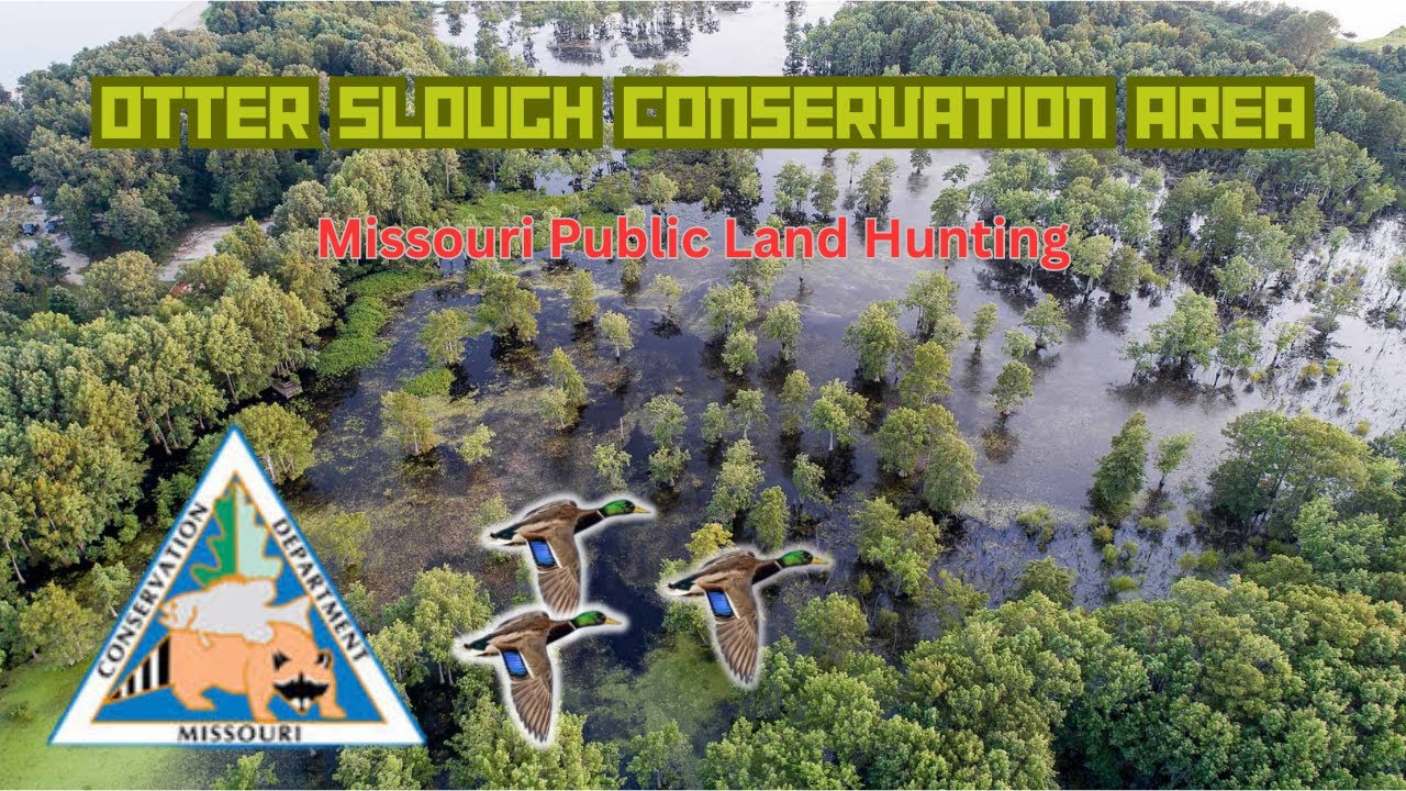 Otter Slough Duck Hunting (Breakdown) where to hunt - YouTube