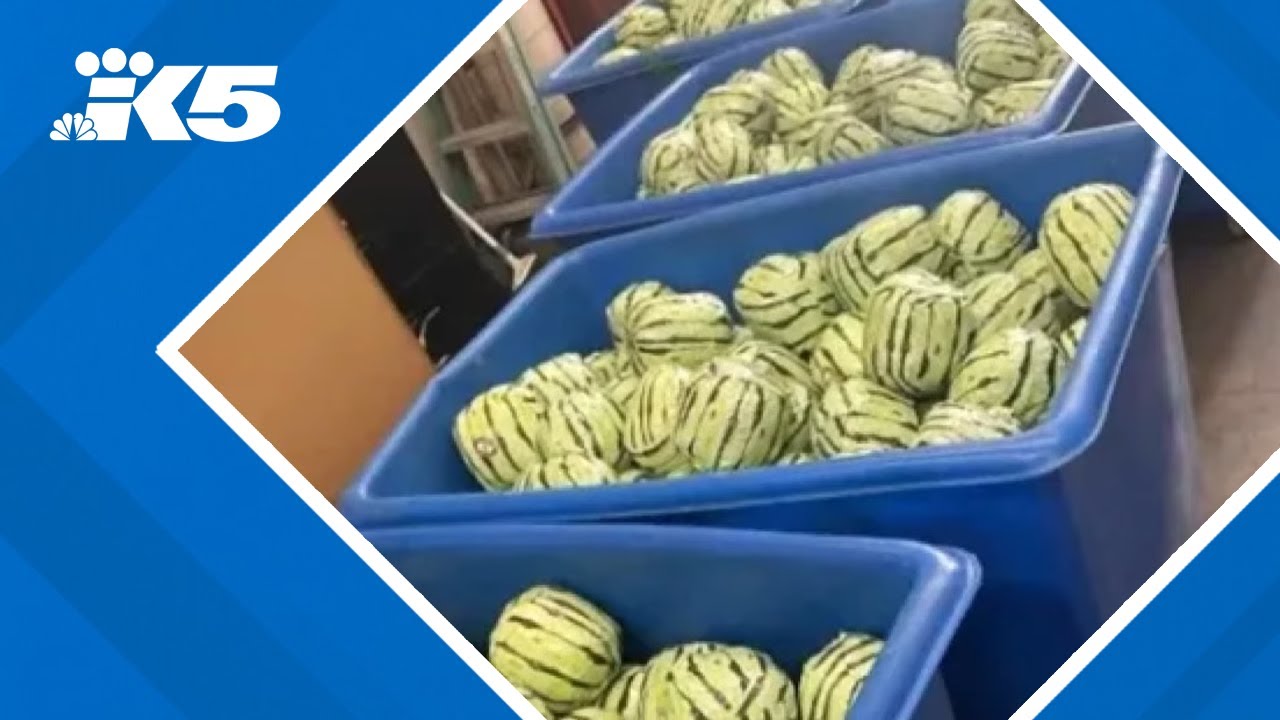 $5 million worth of meth discovered to be crudely disguised as ...