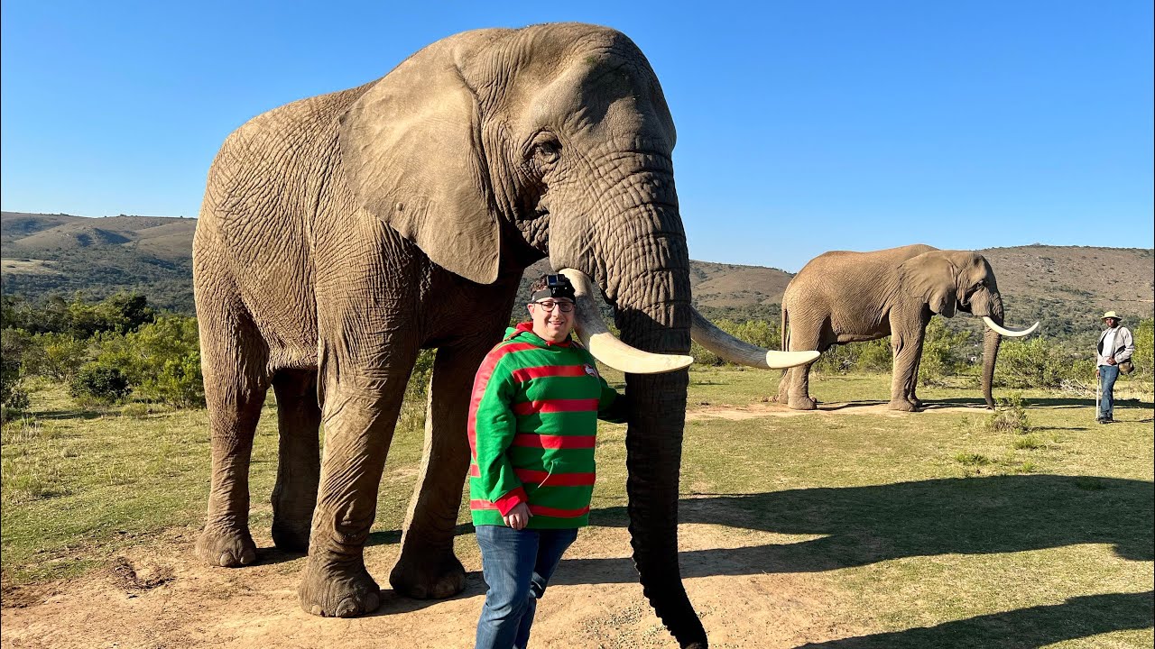 Walking with Elephants at Barefoot Addo Elephant National Park - YouTube