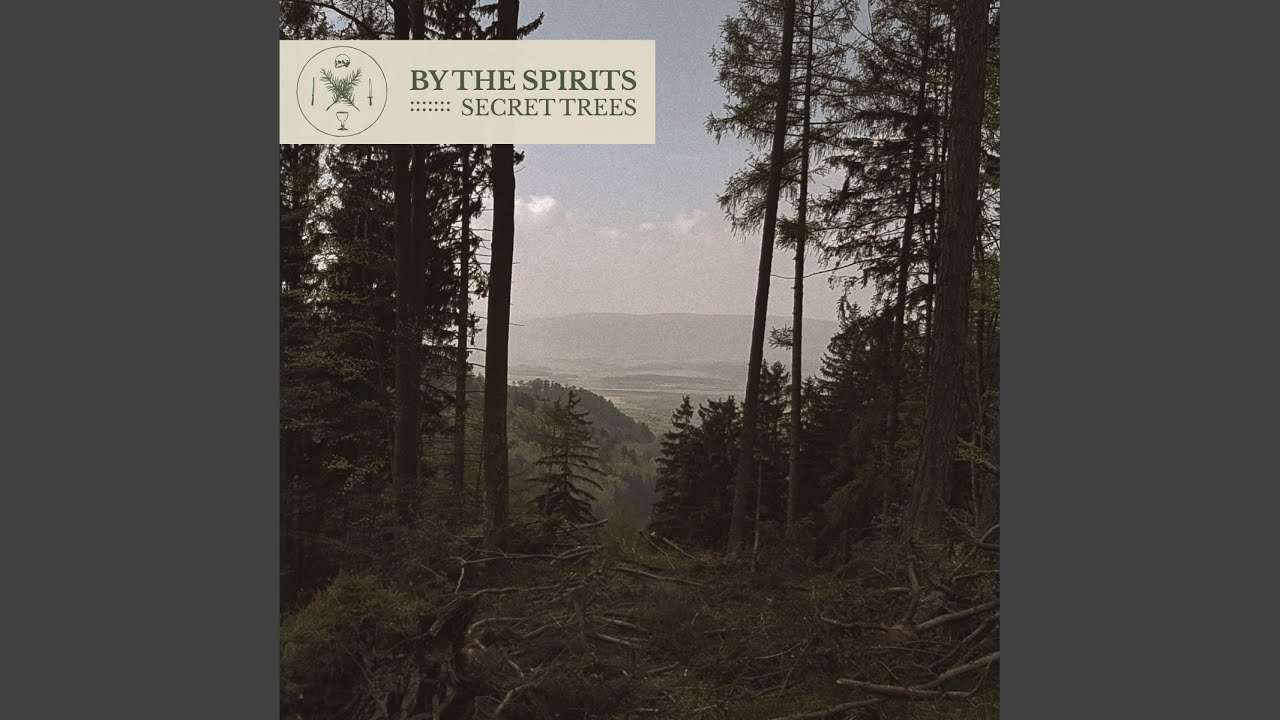 Secret Trees - YouTube