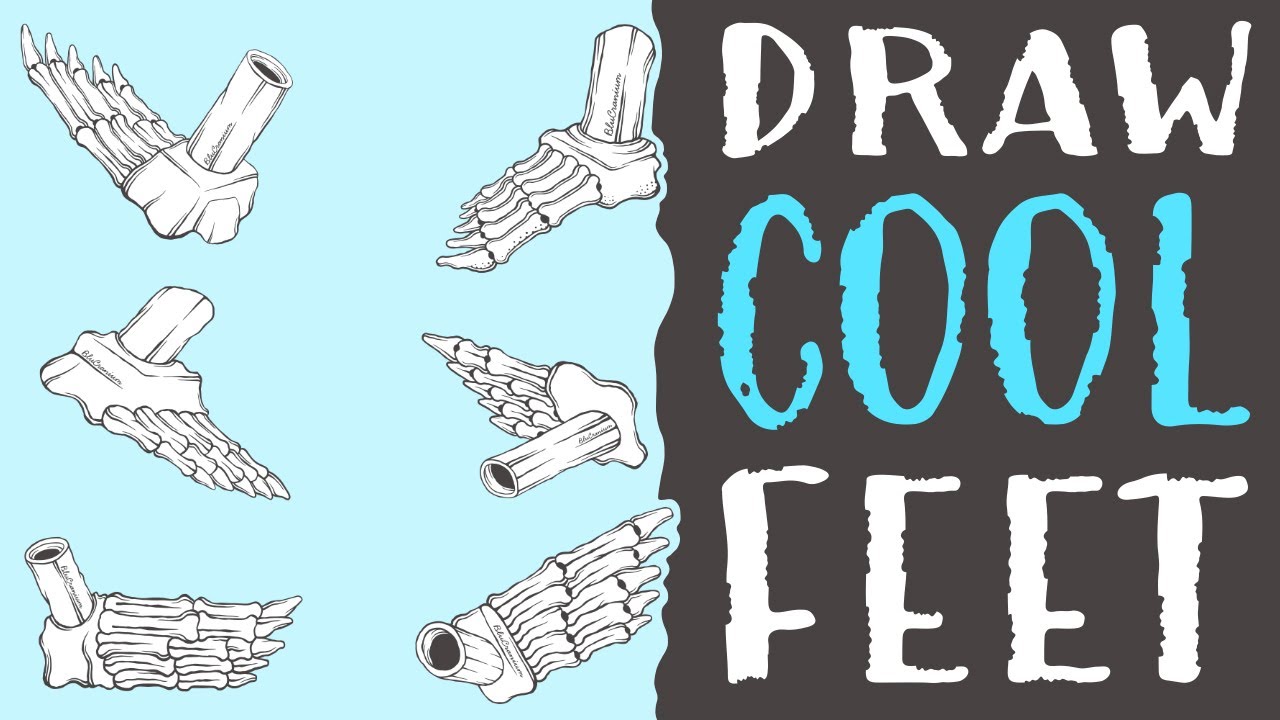 Let’s Draw Cool Skeleton Feet-Perspective Views-Adobe Fresco-I-Pad Pro ...