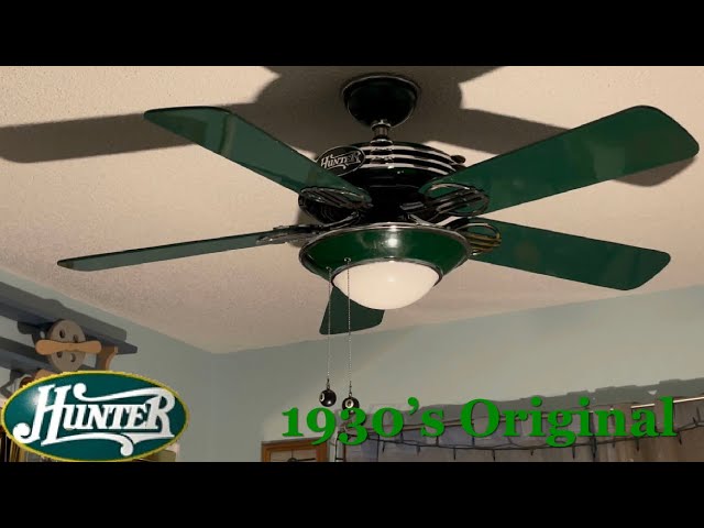 Green Ceiling Fan Hunter | Shelly Lighting