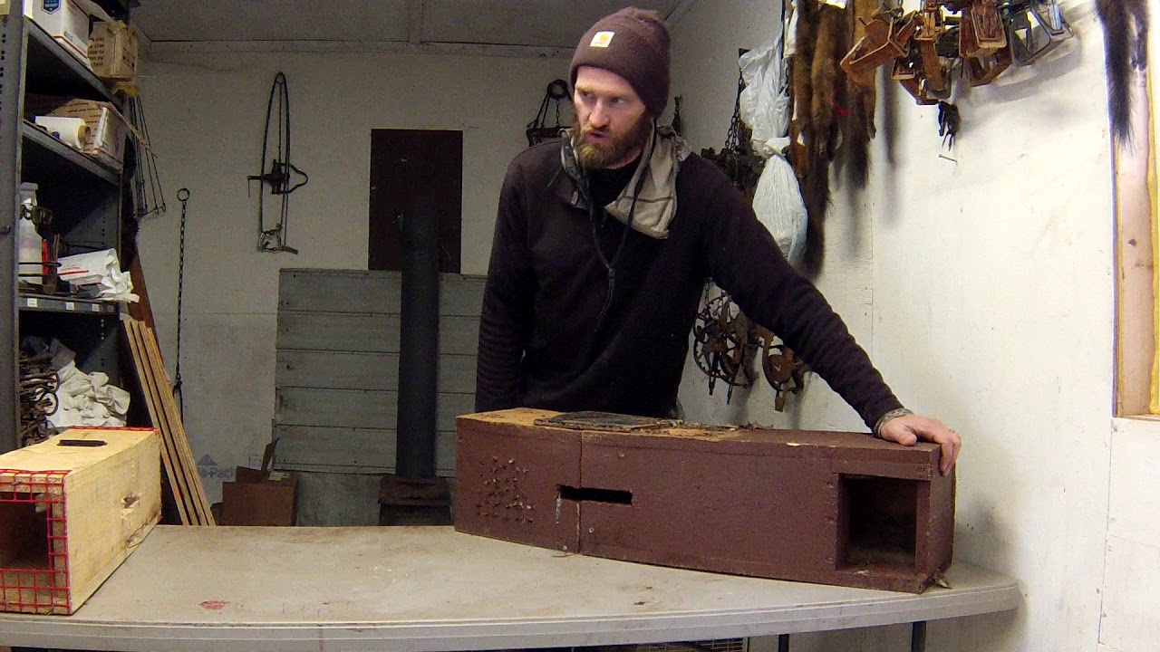 Lynx Exclusion Devices Required for Maine Trappers: Designs and ...