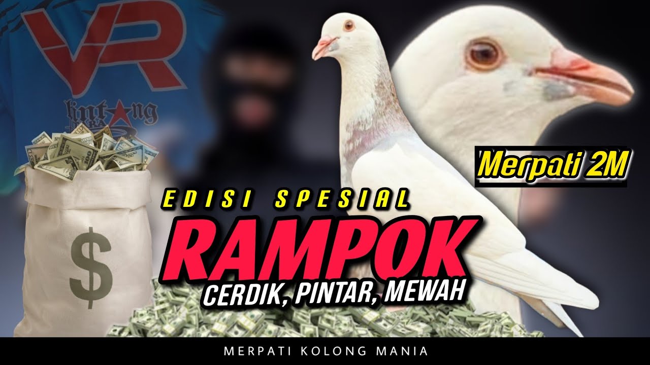 DIBULLY MALAH MENJADI JADI EDISI SPESIAL AKSI MERPATI 2 MILYAR "RAMP0K ...