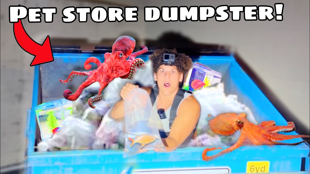 I Found PET STORE DUMPSTER Filled With OCTOPUS And LIVE Aquarium FISH ...