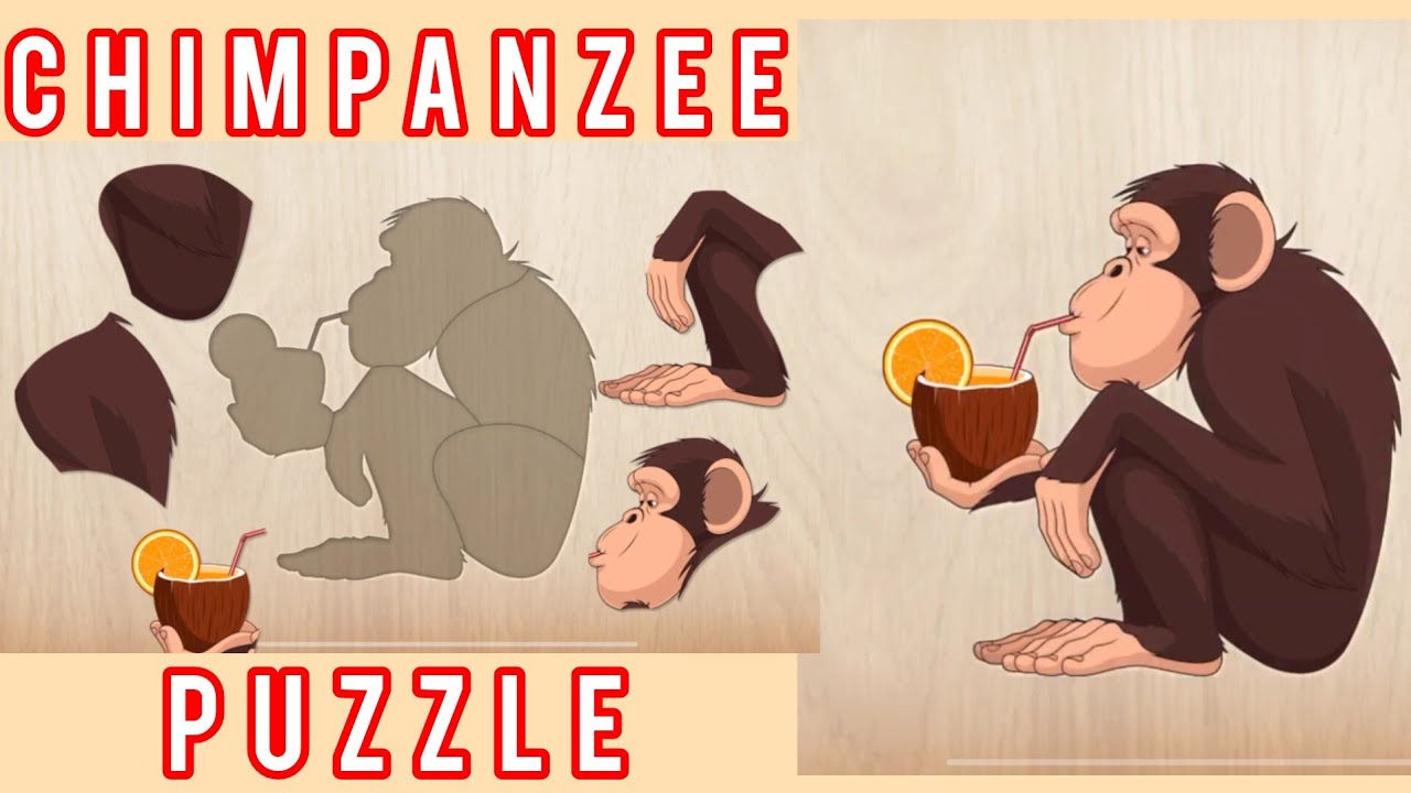 Chimpanzee Puzzle - PUZZLE GAME PLAY - YouTube