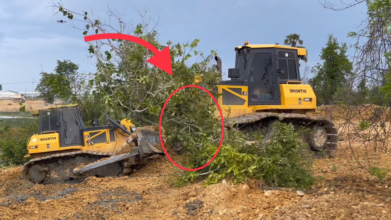 PT10/Powerful SHANTUI DH17c2 Bulldozer Push A Big Trees and land Stone ...