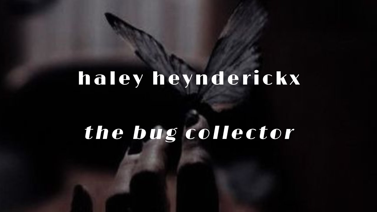 𝙝𝙖𝙮𝙡𝙚𝙮 𝙝𝙚𝙮𝙣𝙙𝙚𝙧𝙞𝙘𝙠𝙭 - the bug collector lyrics - YouTube