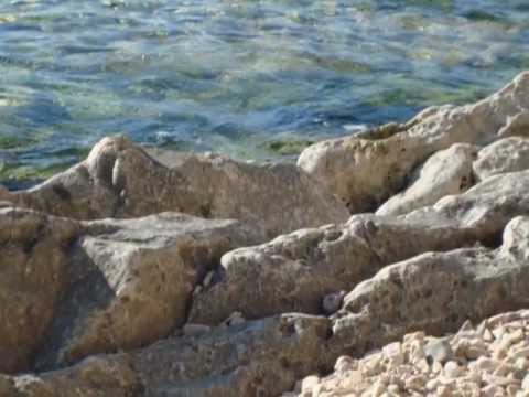 Bepo Matešić & David Ricov - Ne krij oči zelene - YouTube