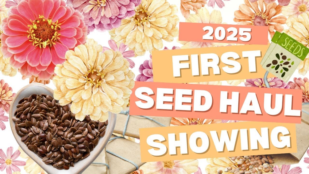 First Seed Haul of 2025 - YouTube