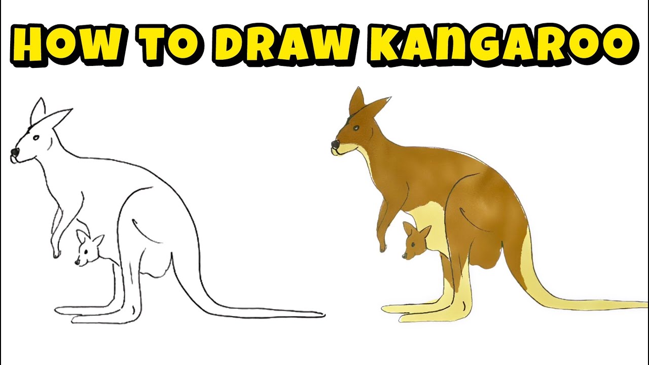 How to Draw Kangaroo Easy and Quick – Marker Drawing for All Skill ...