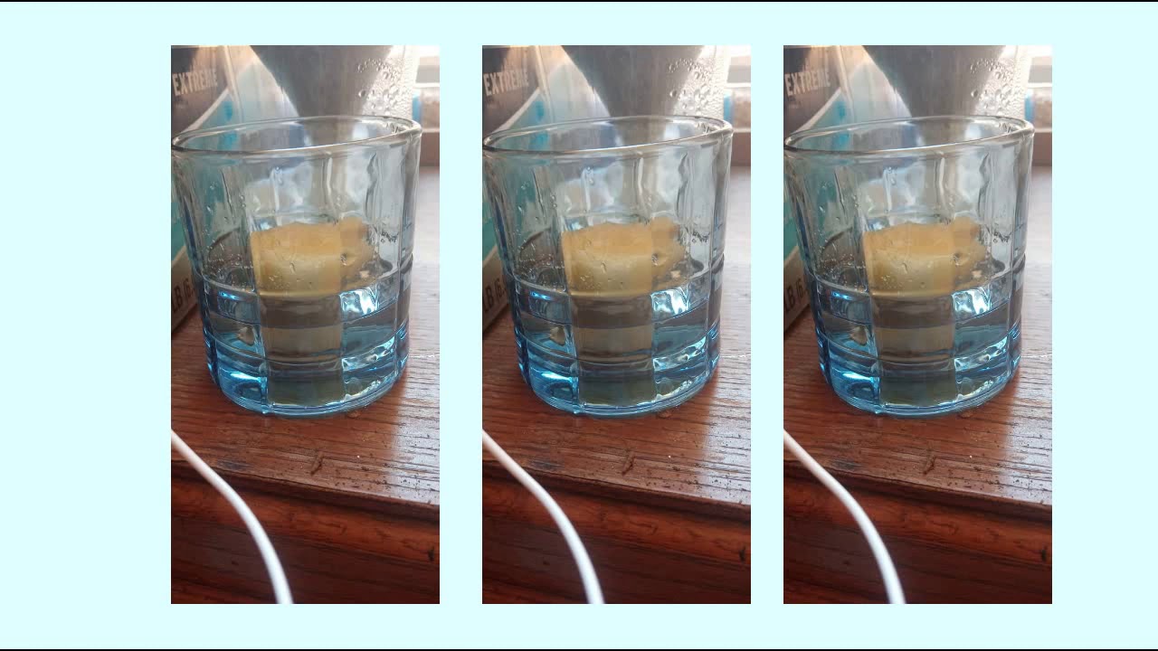 Ecology project - YouTube