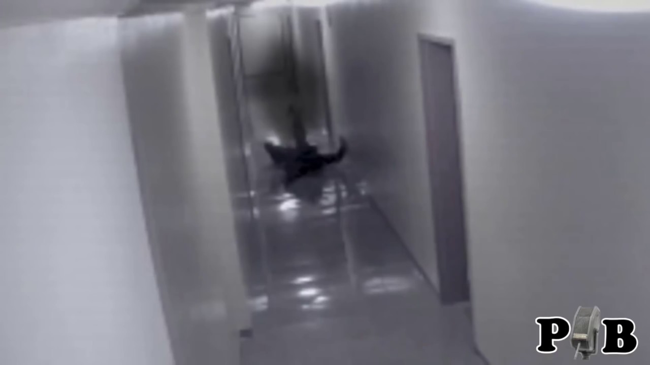 the "Ghost Attack Caught On Security Camera" video - YouTube