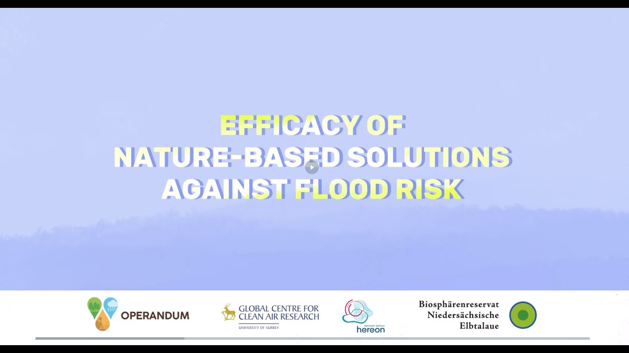 Efficacy of Nature-Based Solutions against Flood Risks - YouTube