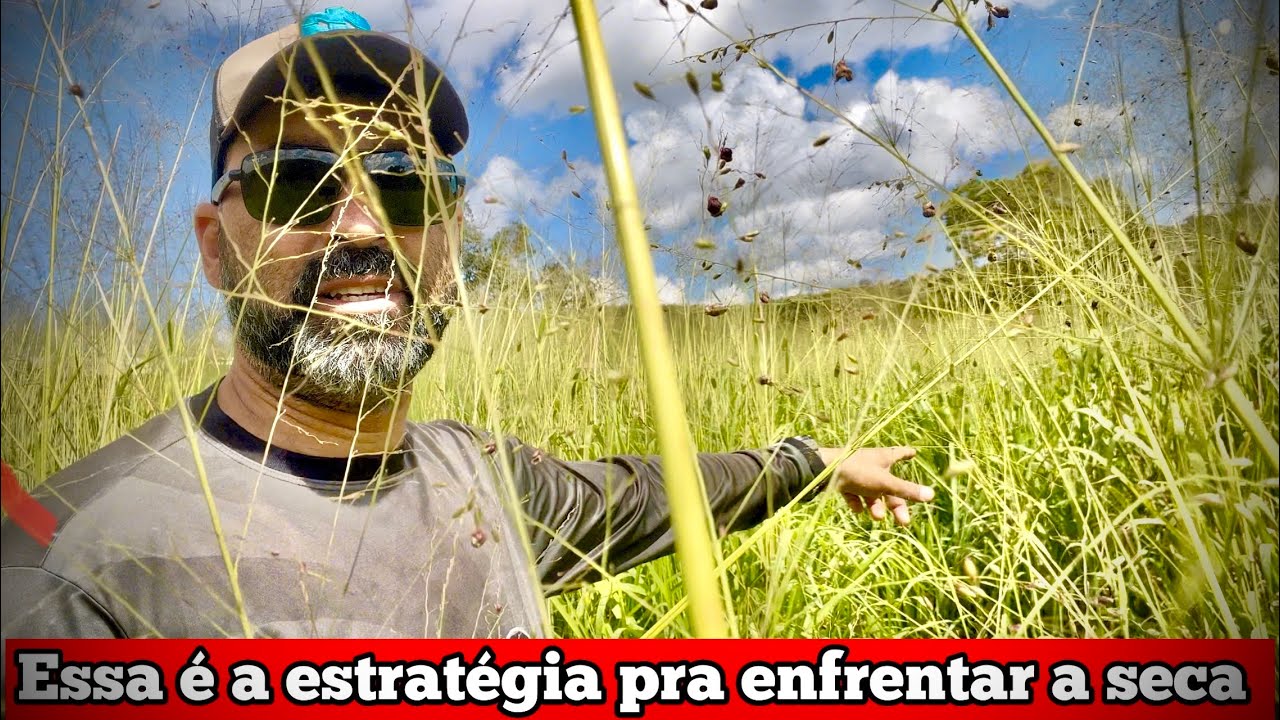 COMO VENCER A SECA - YouTube