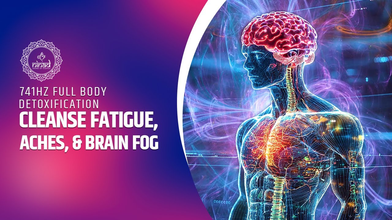 Cleanse Fatigue, Aches, & Brain Fog for Higher Energy | 741Hz Full Body ...