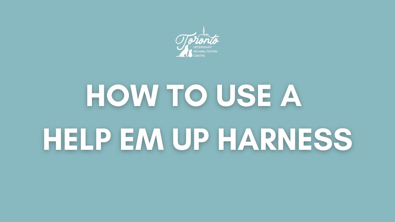 How to use a Help Em Up harness - YouTube